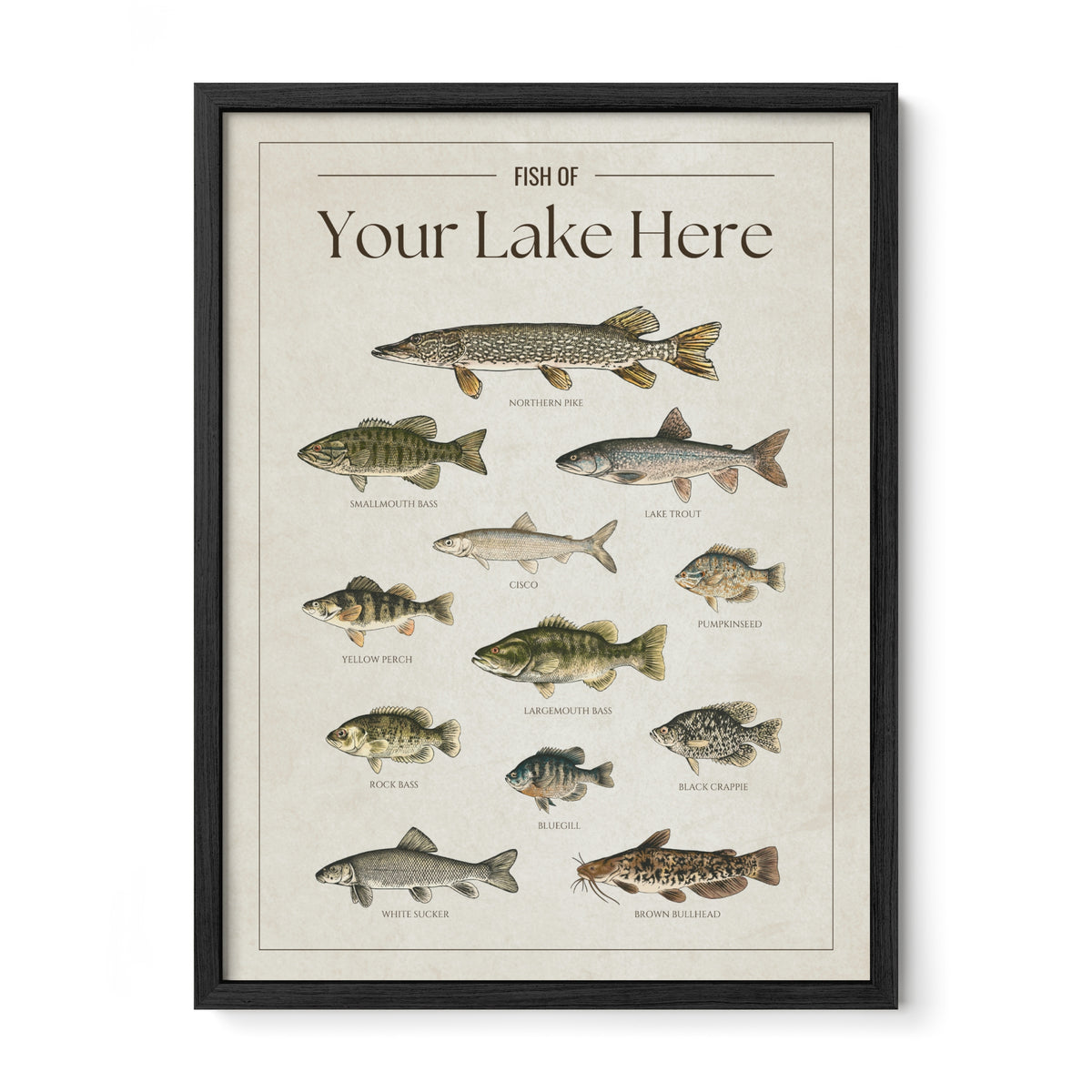 Custom Fish Print - Custom Fish Charts for Cottage – Fish Prints