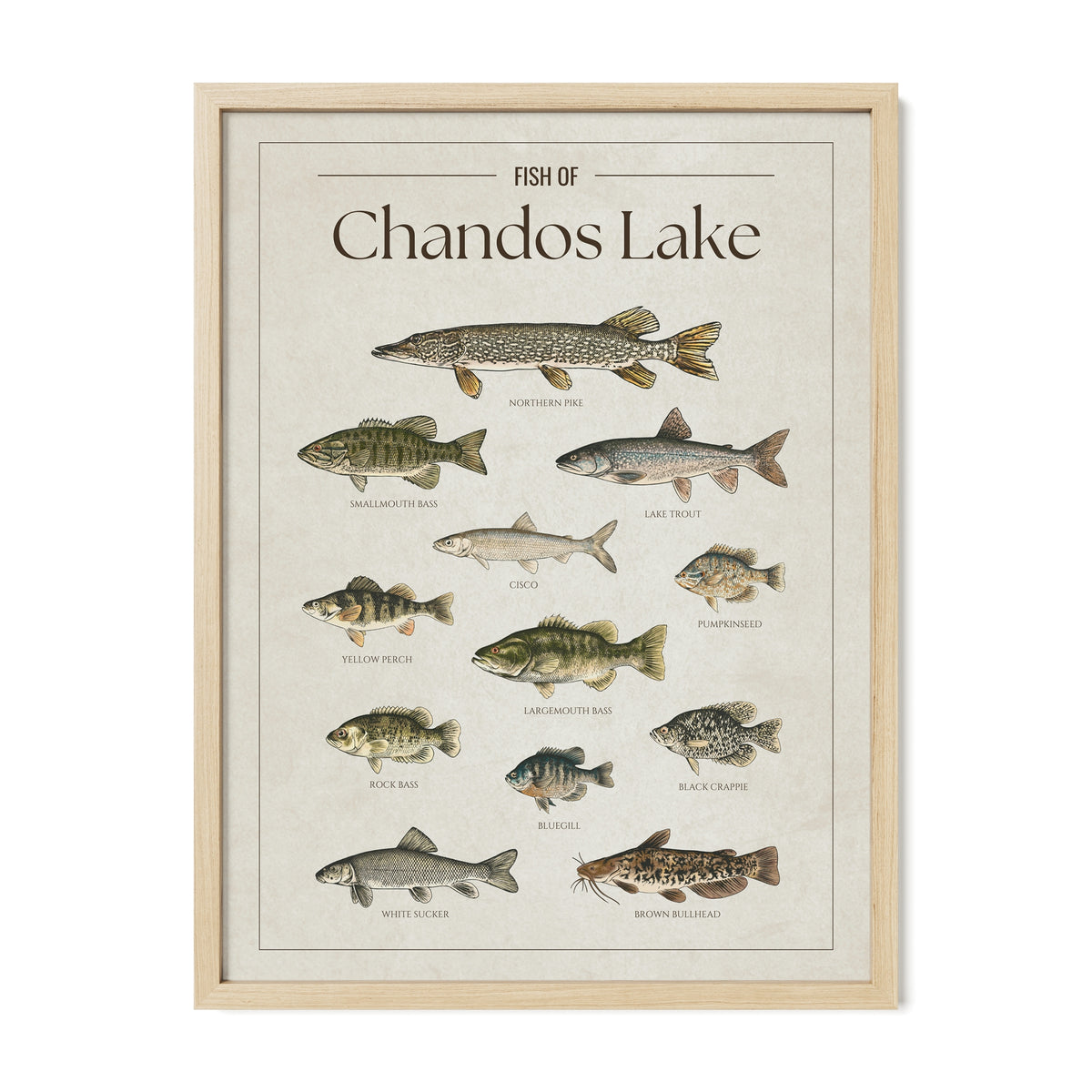 Chandos Lake Print – Fish Prints